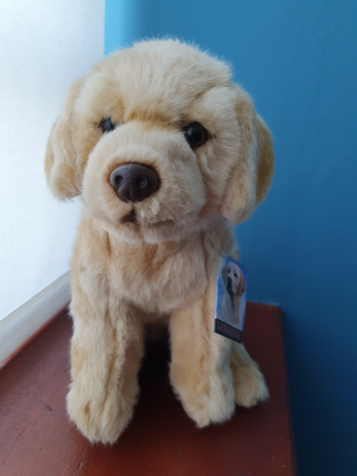 12" Yellow Labrador teddy LABRADORS soft toys dogs plush toy dog ...