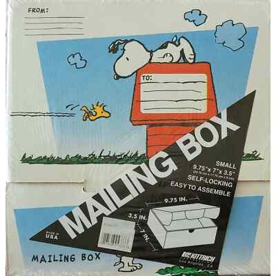 Vintage PEANUTS Snoopy Woodstock Small Mailing Box Shipping Office ...