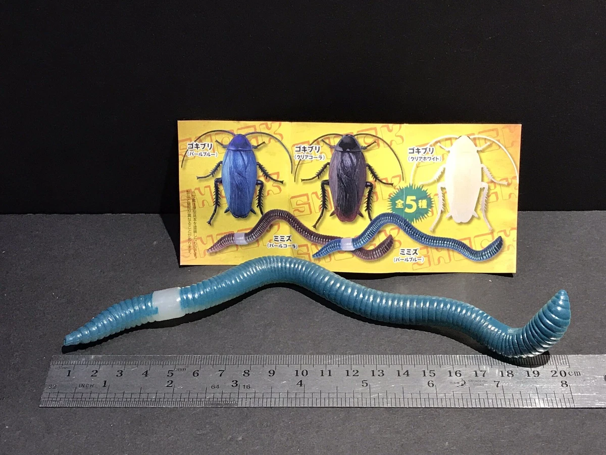 Giant Blue Earthworm