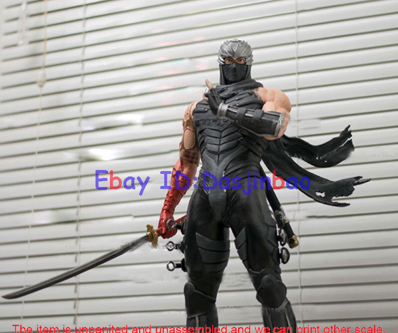 Ryu Hayabusa Unmasked