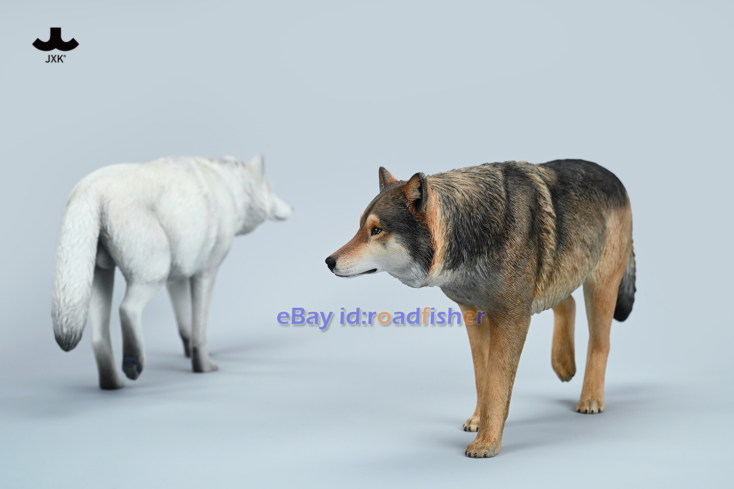 JXK 1/6 Common Gray Wolf Model Animal Figure Collection Decor Toy IN ...
