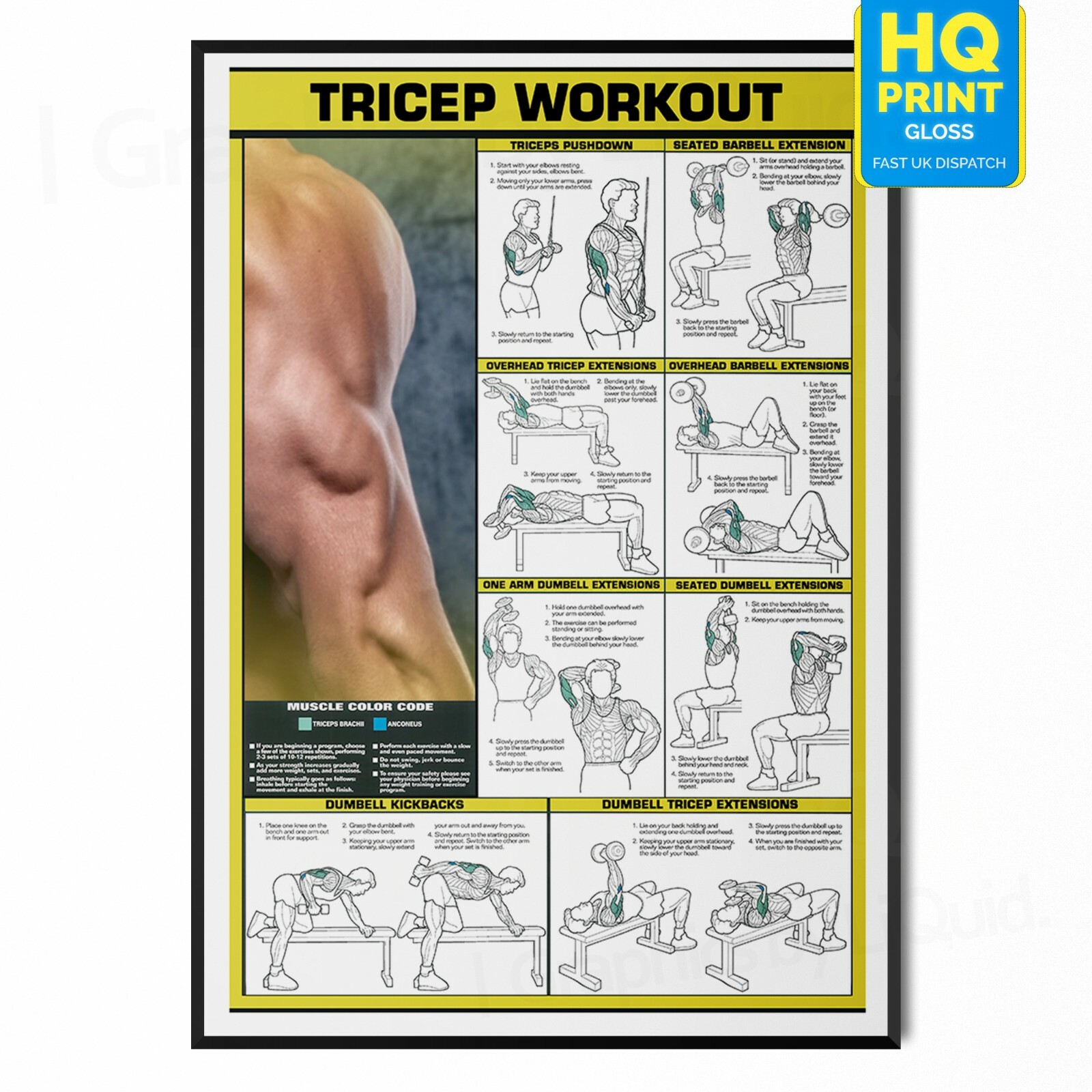 Triceps Exercises Chart For Men