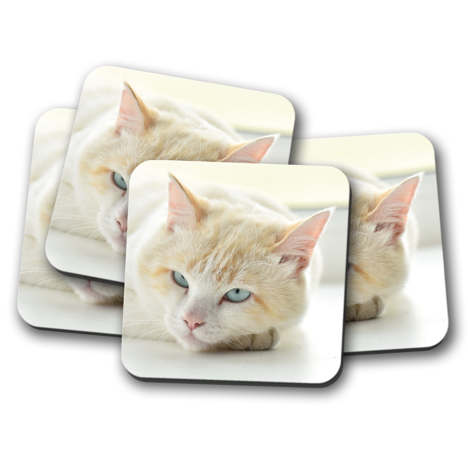 4 Set - Beautiful Ginger Cat Coaster - Blue Eyes Kitten Kitty Cute Gift ...