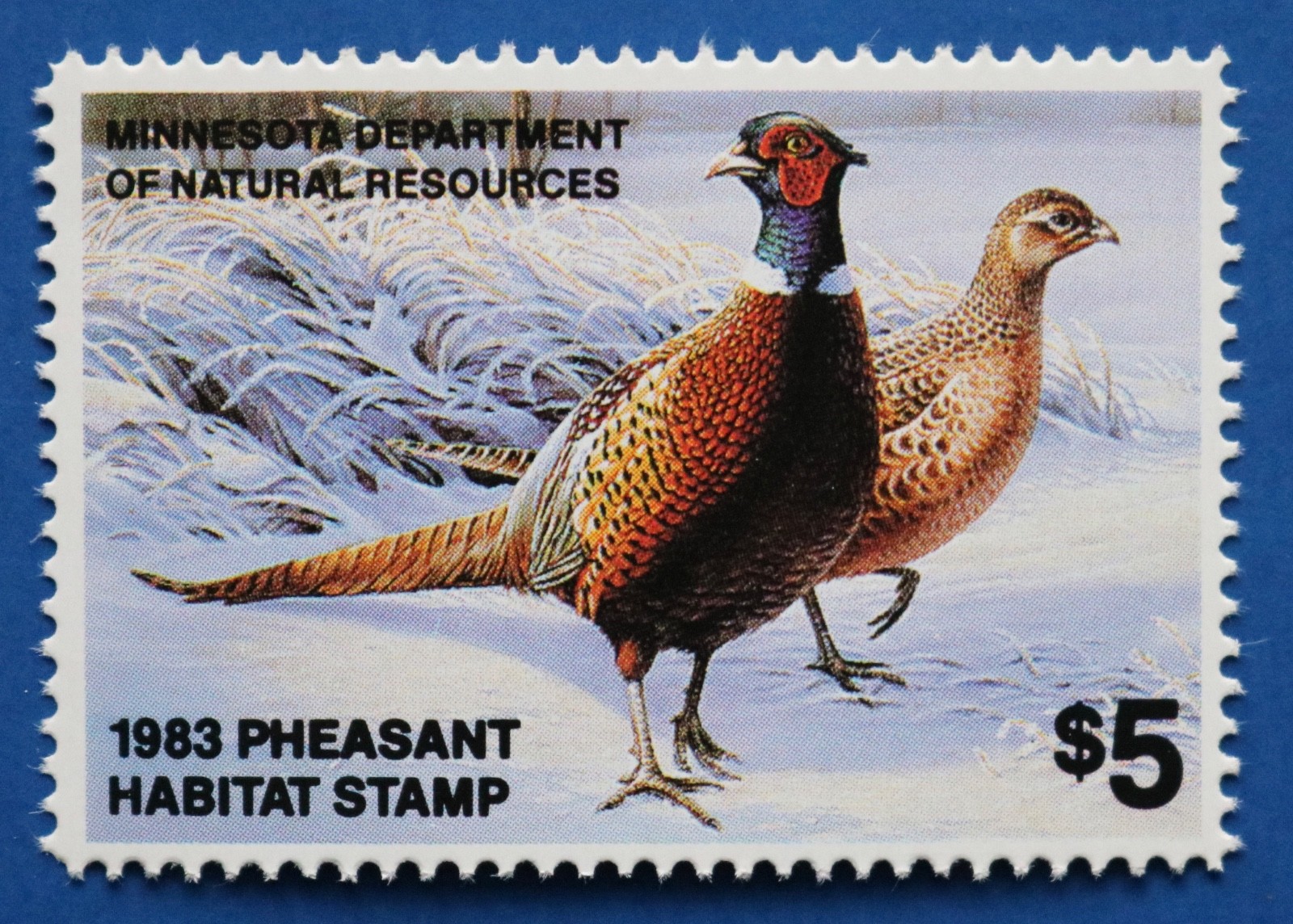 U.S. (MNP01v) 1983 Minnesota Pheasant Habitat Stamp with Inverted ...