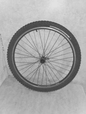 26" Front Wheel Alex Rims DH20 - 36 Spoke | eBay