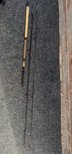 Daiwa Graphite 11ft Fishing Rod With Bag | eBay UK