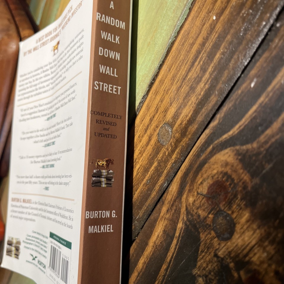 Random Walk down Wall Street : The Time-Tested Strategy for Successful ...