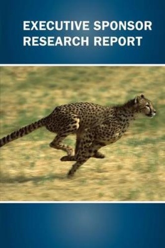 Executive Sponsor Research Report by Johnson, James [Paperback] | eBay