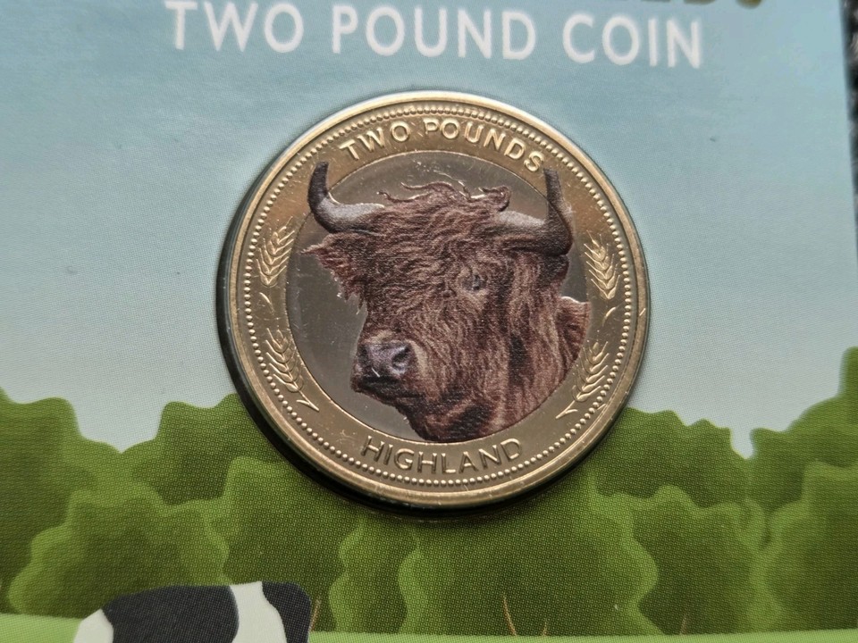2024 HERITAGE SCOTTISH HIGHLAND COW JERSEY BUNC COLOURED £2 TWO POUND ...