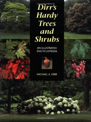 DIRR'S HARDY TREES AND SHRUBS: AN ILLUSTRATED ENCYCLOPEDIA By Michael A ...