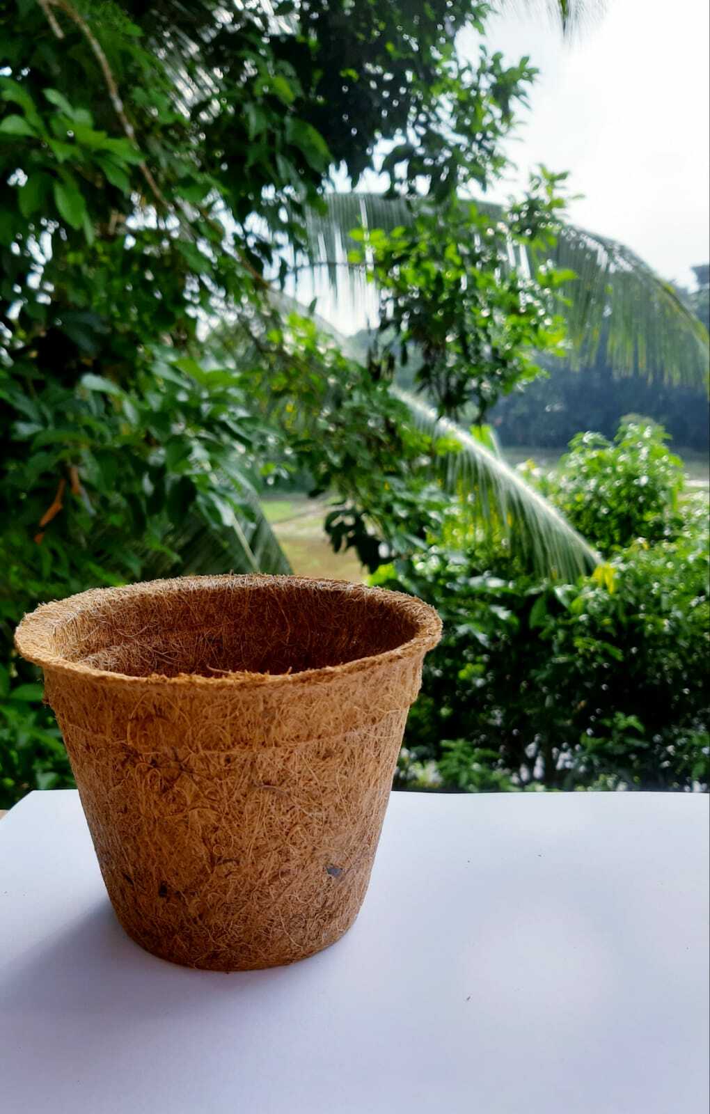 Coco Coir Pot Coconut Fiber Biodegradable Eco Friendly for Garden items ...