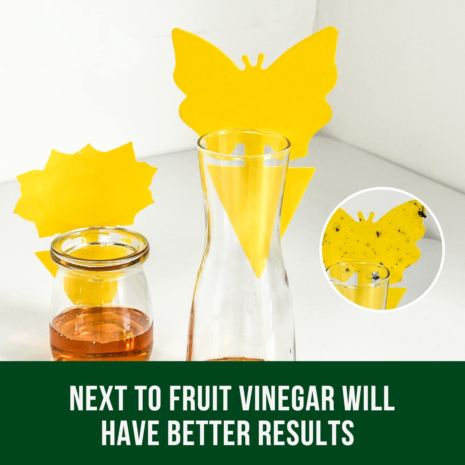 Fruit Fly Sticky Trap, 36 Pack for Indoor/Outdoor, Fungus Gnat & Flying ...