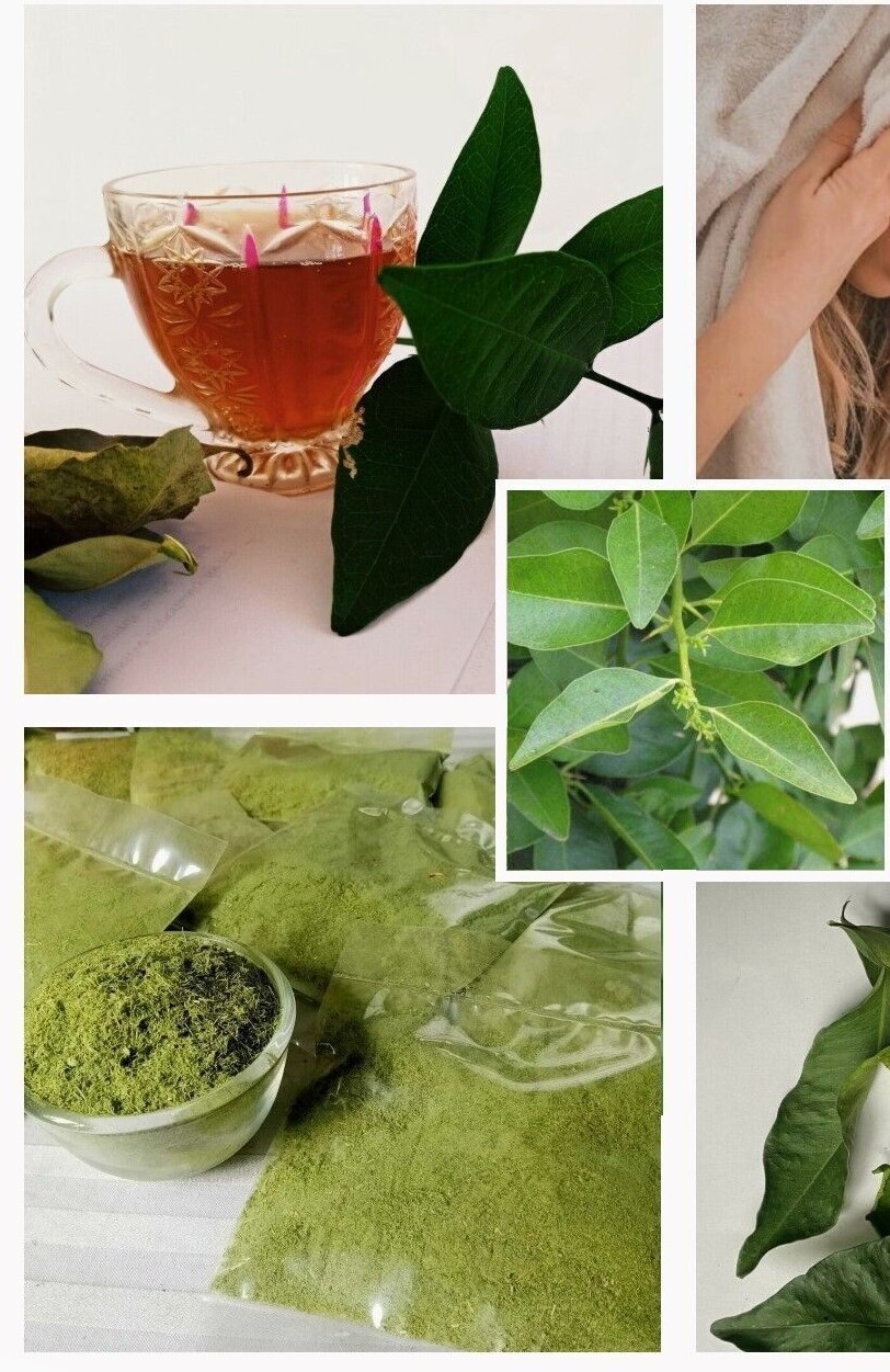Powder Leaf Ceylanica AtalantiaYaki Naran Natural Herbal Wild Lemon 100 ...