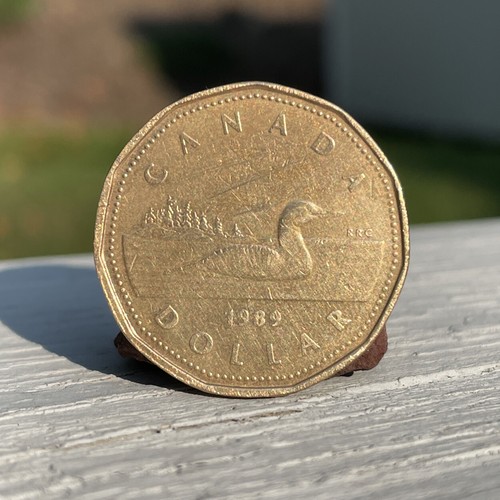 1989 CANADIAN ELIZABETH II $1 LOONIE DOLLAR COIN CIRCULATED VINTAGE ...