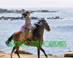 LYNDA CARTER 8X10 Lab Photo Color Wonder Woman Riding Horse on Paradise ...