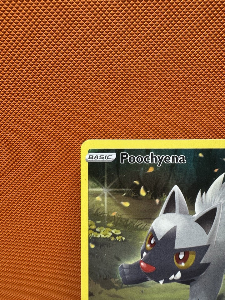 Poochyena GG33/GG70/ - Ultra Rare NM | eBay