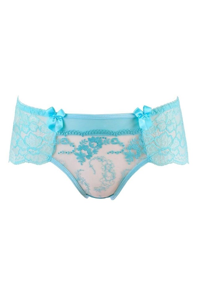 Axami 10133 Sheer Brief Panty Passion Wave | eBay