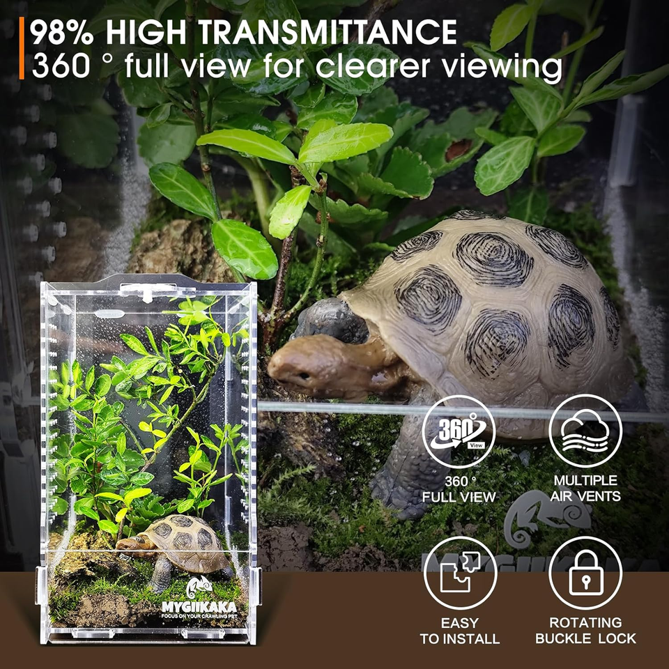 Acrylic Jumping Spider Habitat, Insect Terrarium, Bug Enclosure ...