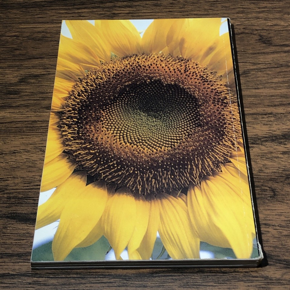 Absolute Sound Volume 19 Issue 99 November 1994 The High End Journal ...