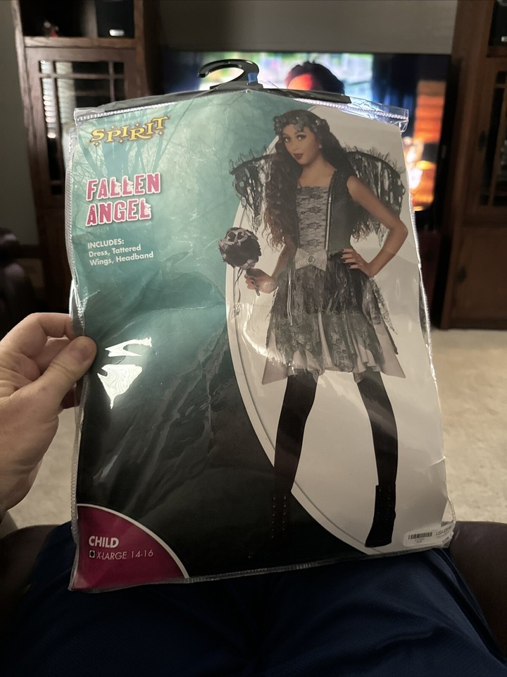 Halloween Fallen Angel Costume Size Child X-Large 14-16 Spirit | eBay