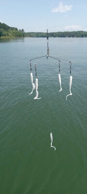 Striper umbrella rig fishing. Trolling, White Eels, Ocean, inlet. | eBay