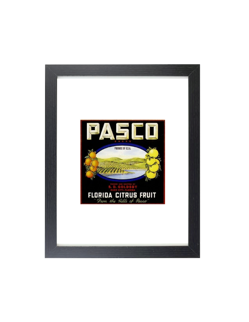 Pasco Brand Orange Dade Florida Fruit Crate Label Matted & Framed Art ...