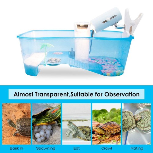 Turtle Tank AquariumReptile Tank Terrapin Lake with Platform Plants for ...