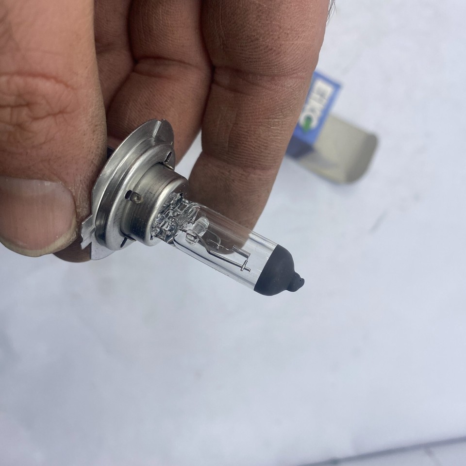 EIKO H755 H7 55W Halogen Light Bulb Lamp Certified Green H7 12V 55W ...