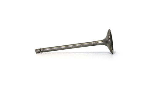 1x Einlassventil Ventil Audi 3,0 CGX CGXC NEU | eBay