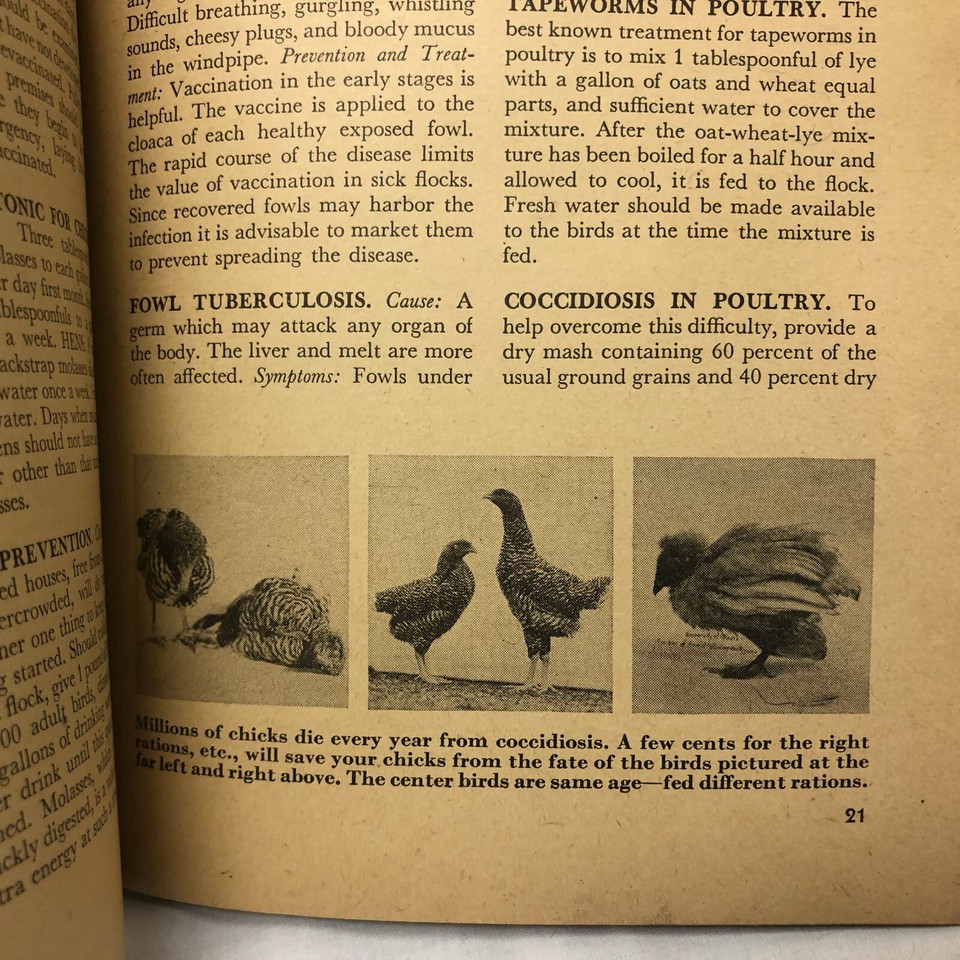 Vintage 1941 Successful Farming Booklet | eBay