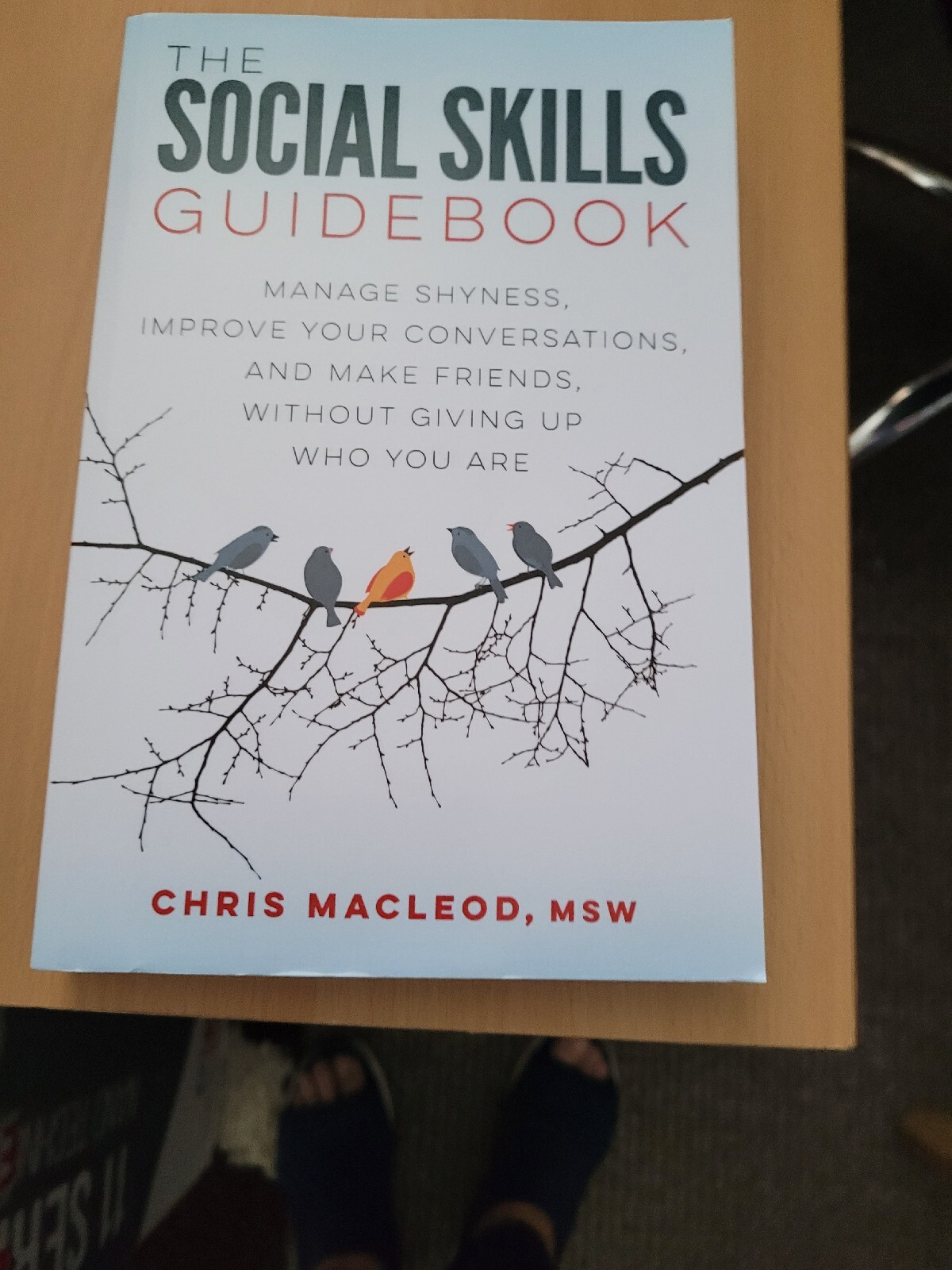 The Social Skills Guidebook by Chris Macleod (Paperback, 2016) for sale ...