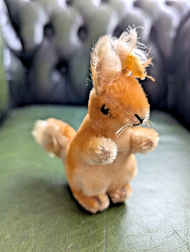 Steiff Squirrel Possy Vintage 50s Stuffed Animal Plush Toy Mohair 60s ...