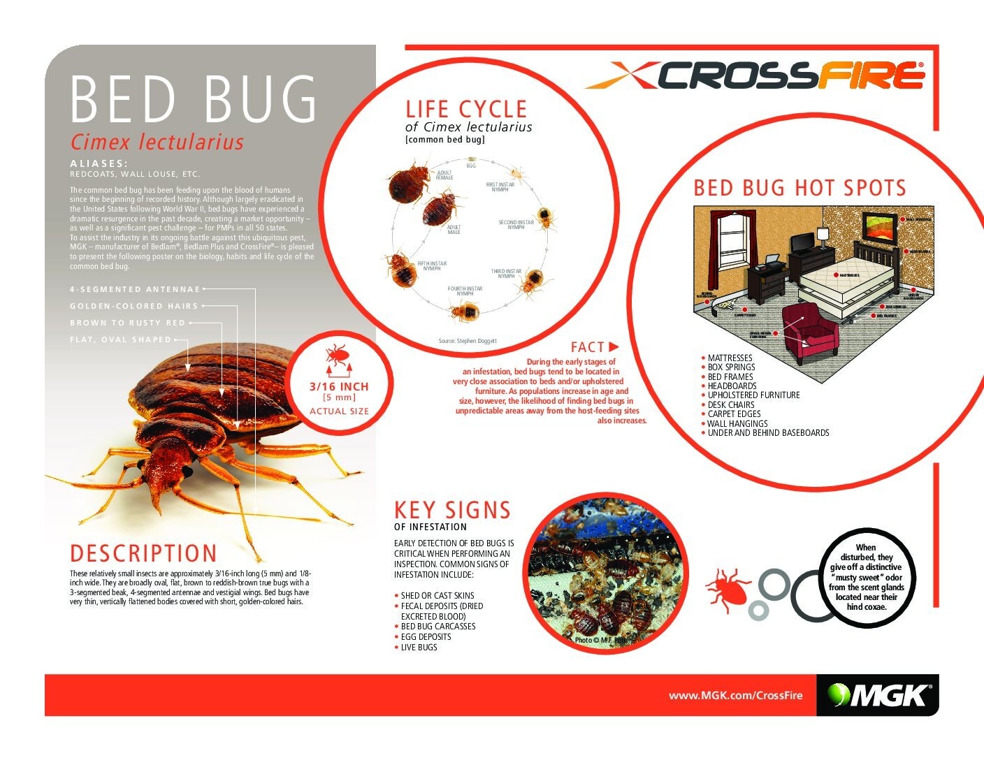 Crossfire Insecticide 130oz- Clothianidin Metofluthrin - MEGA BOTTLE | eBay