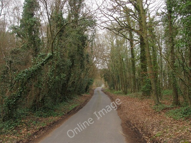 Photo 6x4 Worth Lane Isfield Yeakell & Gardner's map of 1778 has c2011 ...
