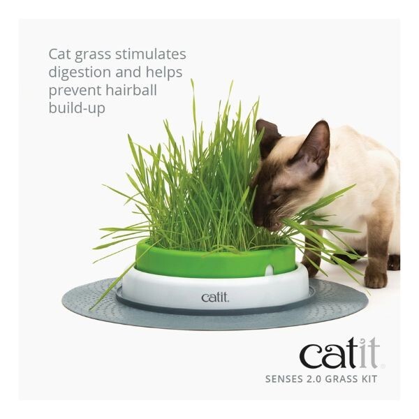 Catit Cat Grass Kit for the Catit Senses Grass Planter with Seeds ...