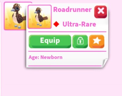 Adopt me Roadrunner | eBay.de