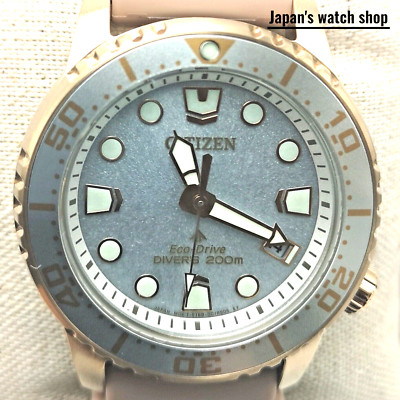 CITIZEN PROMASTER Eco-Drive EO2023-00A Silver Women's Watch New in Box ...