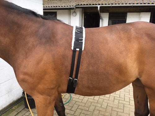 Synthetic Fleece PAD LUNGE BREAKING TRAINING ROLLER + adjustable girth ...