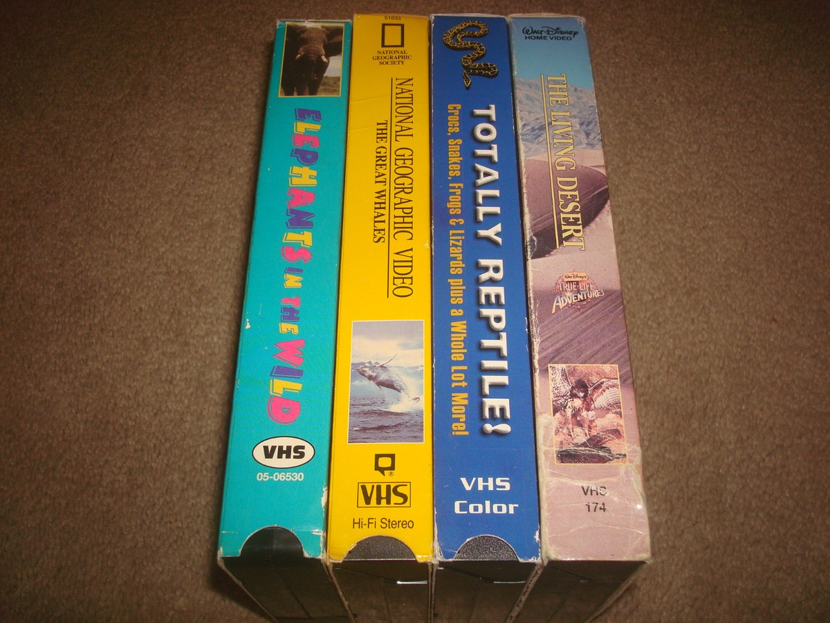 Real Animals Day With Whales Vhs S Ebay The Taxidermy Bat Market Is