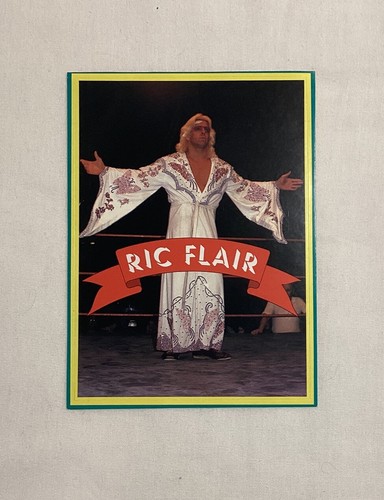 RIC FLAIR RC 1982 BIG WRESTLER MAGAZINE ROOKIE STICKER | eBay