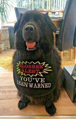 BIG DOG SLOBBER BIB SLOBBER ALERT NEWFOUNDLANDS, ST BERNARDS & ALL ...