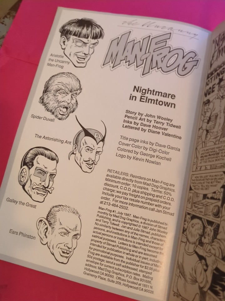 The Uncanny Man-Frog #1 (1987 Mad Dog Graphics) Nightmare on Elmtown ...