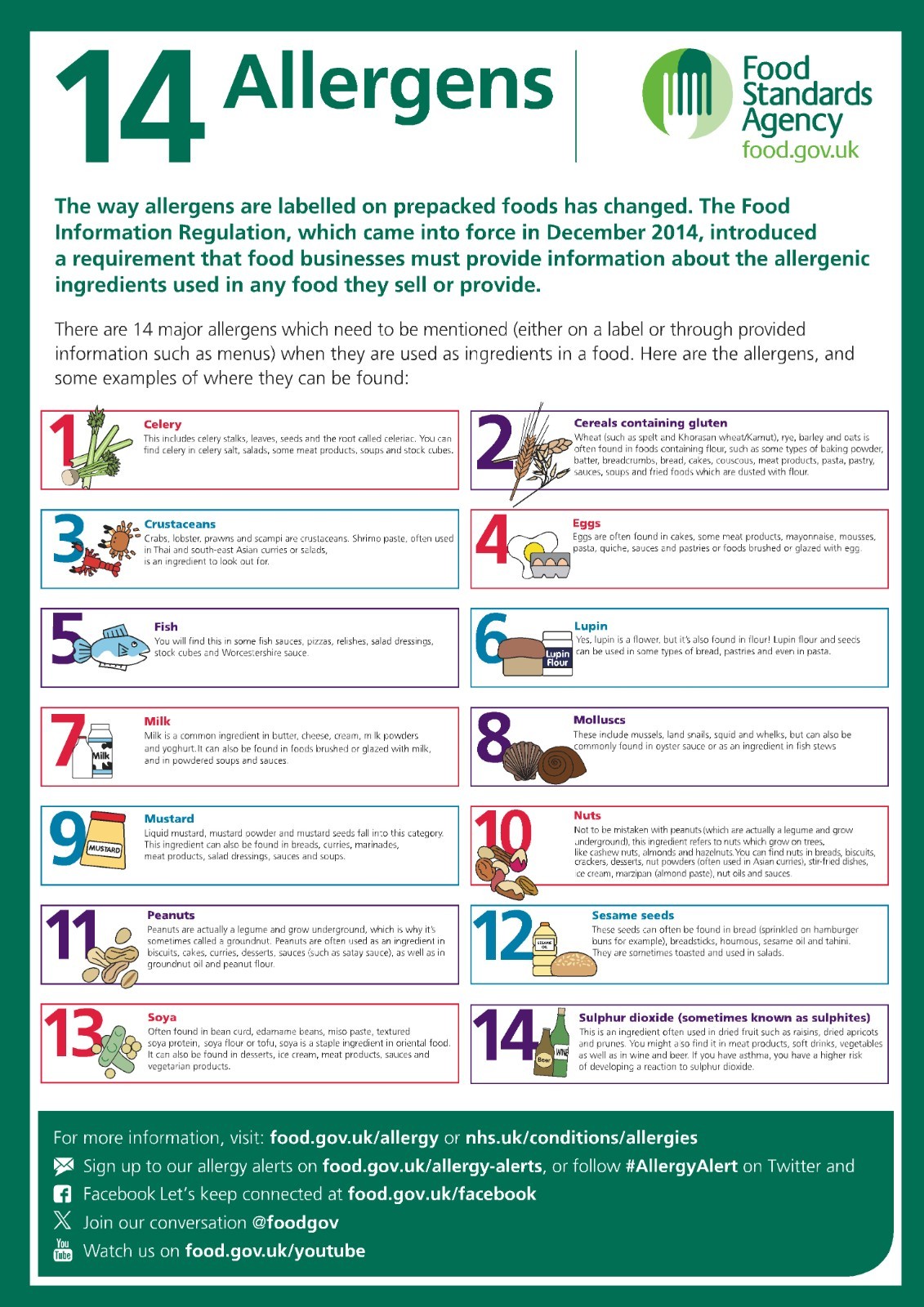 14 food allergens allergy kitchen catering safety self adhesive poster ...