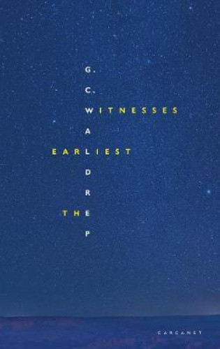 The Earliest Witnesses by G.C. Waldrep | eBay