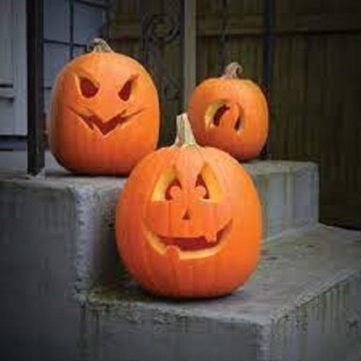 Premium Jack O Lantern Pumpkin - Fresh Heirloom Seeds - Perfect Carving ...
