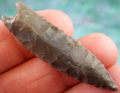 Rare Super Fine G10 Kentucky Paleo Wheeler Point with COA Arrowheads ...