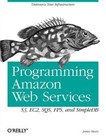Programming Amazon Web Services: S3, EC2, SQS, FPS, and SimpleDB 9780596515812 | eBay Australia