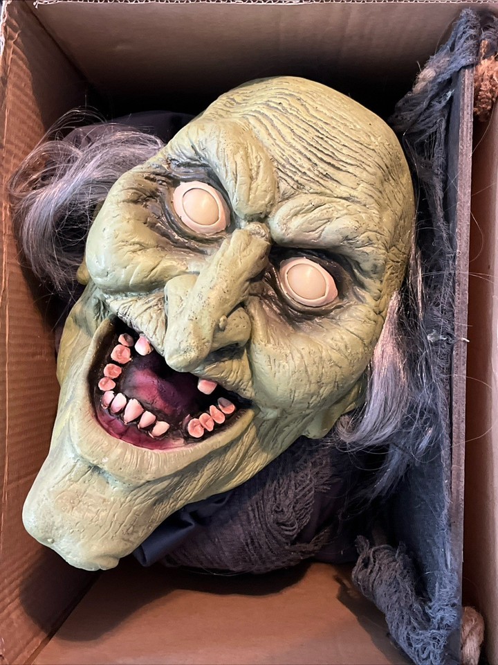Spirit Halloween Swinging Swamp Hag Witch Large Animated Prop With Box ...