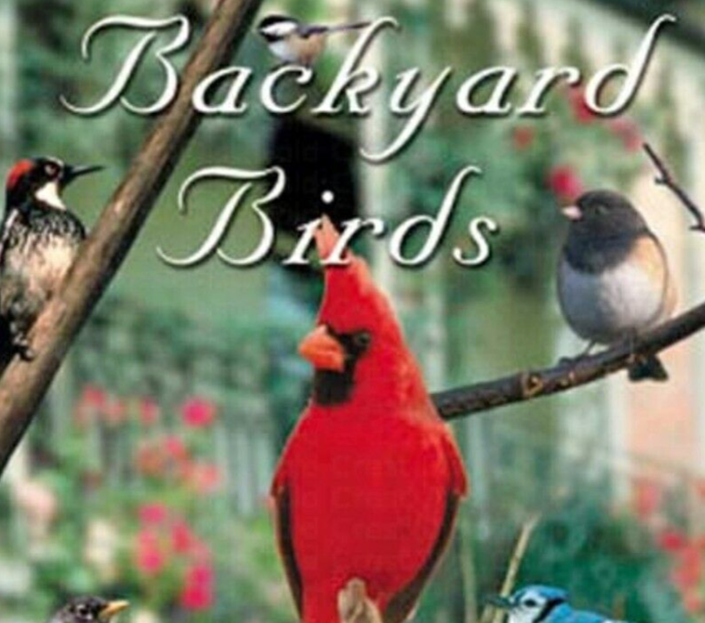NATURESCAPES BACKYARD BIRDS CD BIRD SONGS BEST SELLER MADE IN USA | eBay