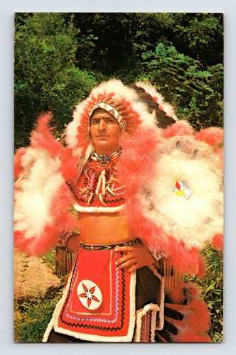 Postcard Chief henry Native American Indian 1960s Unposted Chrome | eBay